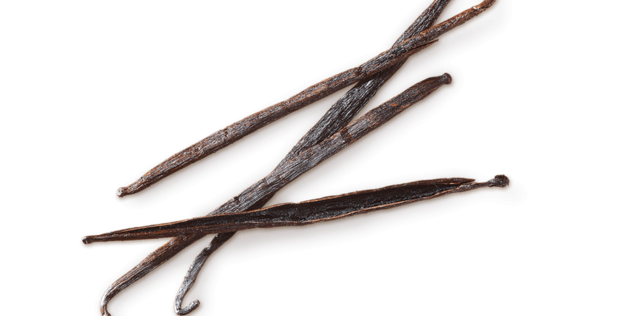 Vanilka koření, Vanilovník plocholistý - Vše o koření